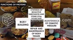 Restaurant Table Dish Presentation Template | Google Slides Themes