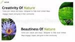 Garden Flowers Presentation Template | Google Slides Themes